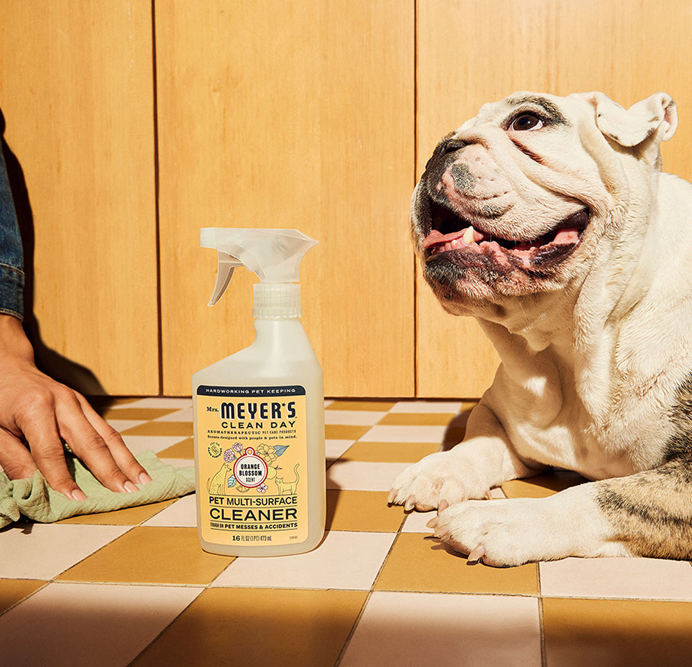 Pet Care Products – Mrs. Meyer's Clean Day